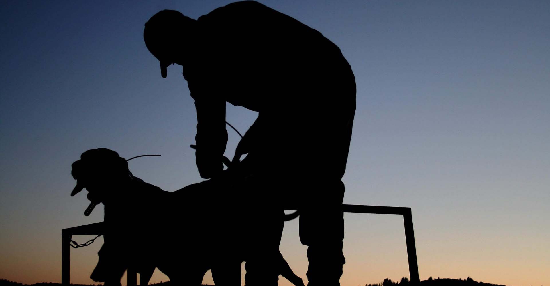 Never Stop Hunting – A research tool for western hunters.