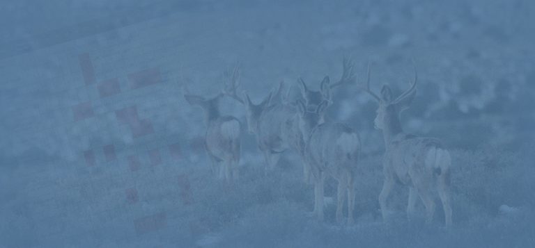 Never Stop Hunting – A research tool for western hunters.